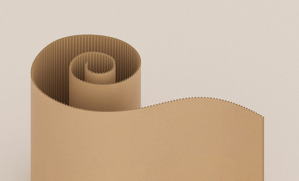 WAVEBAG | Green Padded Pack